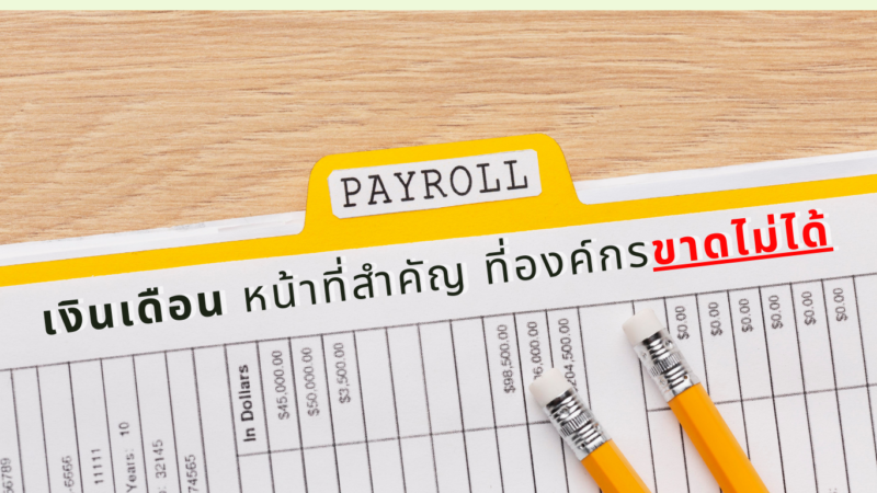 Payroll เงินเดือน หน้าที่สำคัญ ที่องค์กรขาดไม่ได้ - Optimistic HR